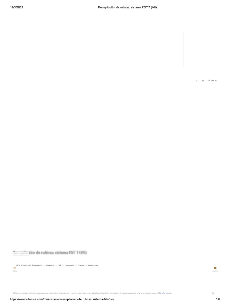 Recopilación de Rutinas - Sistema FST 7 (VII) | PDF | Cookie HTTP ...