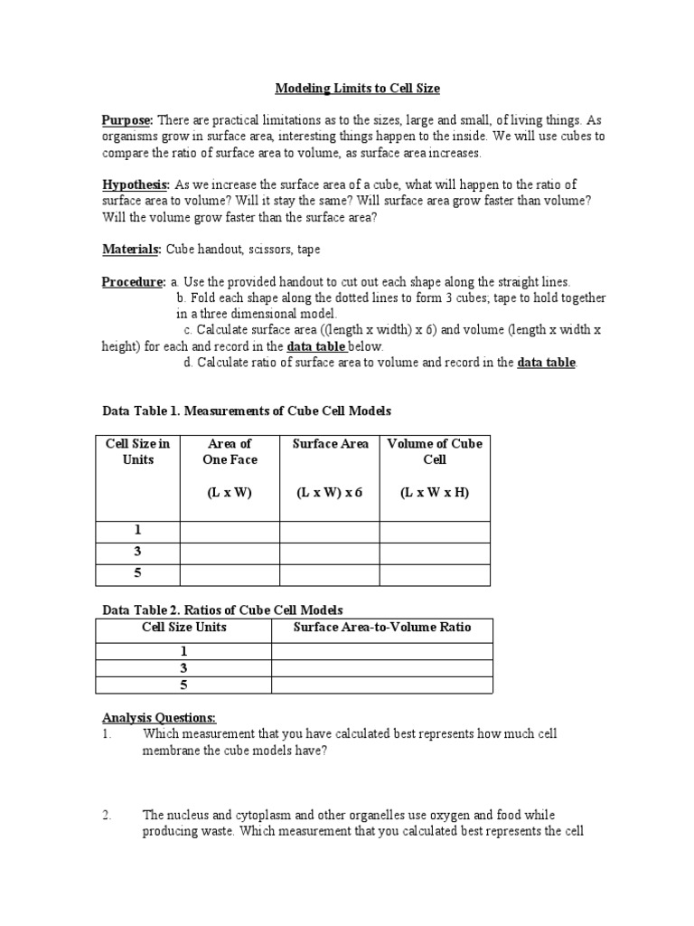 Modeling Limits To Cell Size | PDF | Surface Area | Cell (Biology)