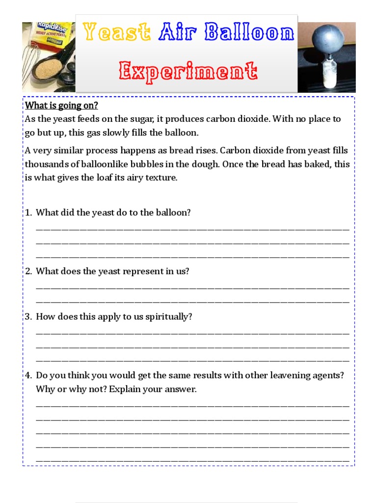 Yeast Air Balloon Experiment Data Sheets | PDF | Baker's Yeast | Breads