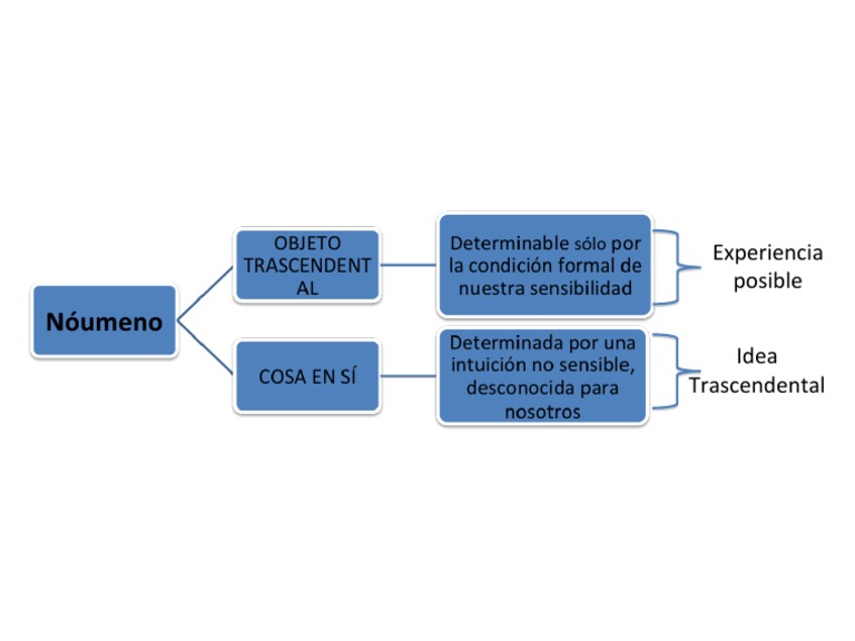 Dibujo de Noumeno | PDF