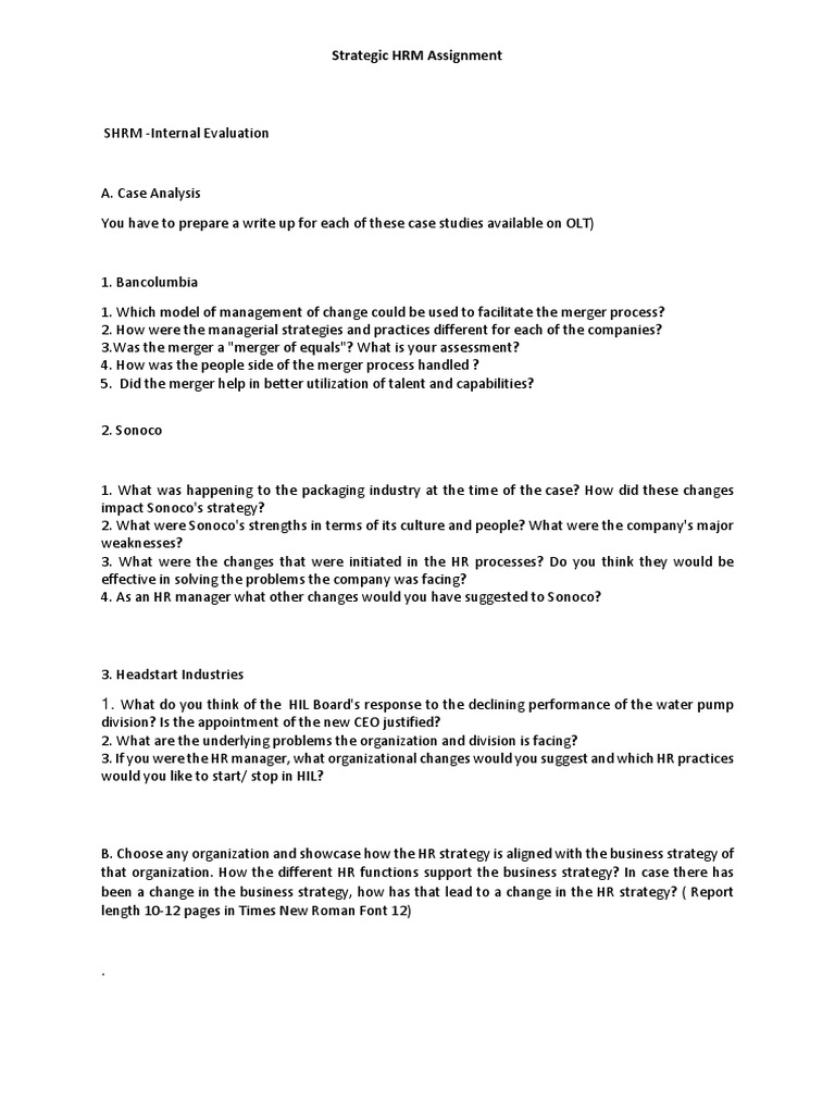 Strategic HRM Assignment | PDF