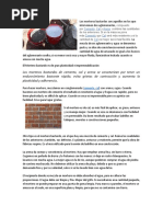 Cimbras Perdidas o Muertas | PDF