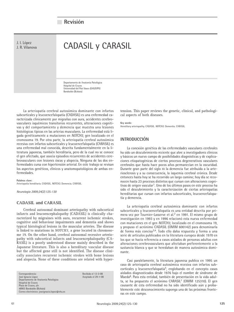 cadasil carasil | Factor de crecimiento vascular endotelial | Artería