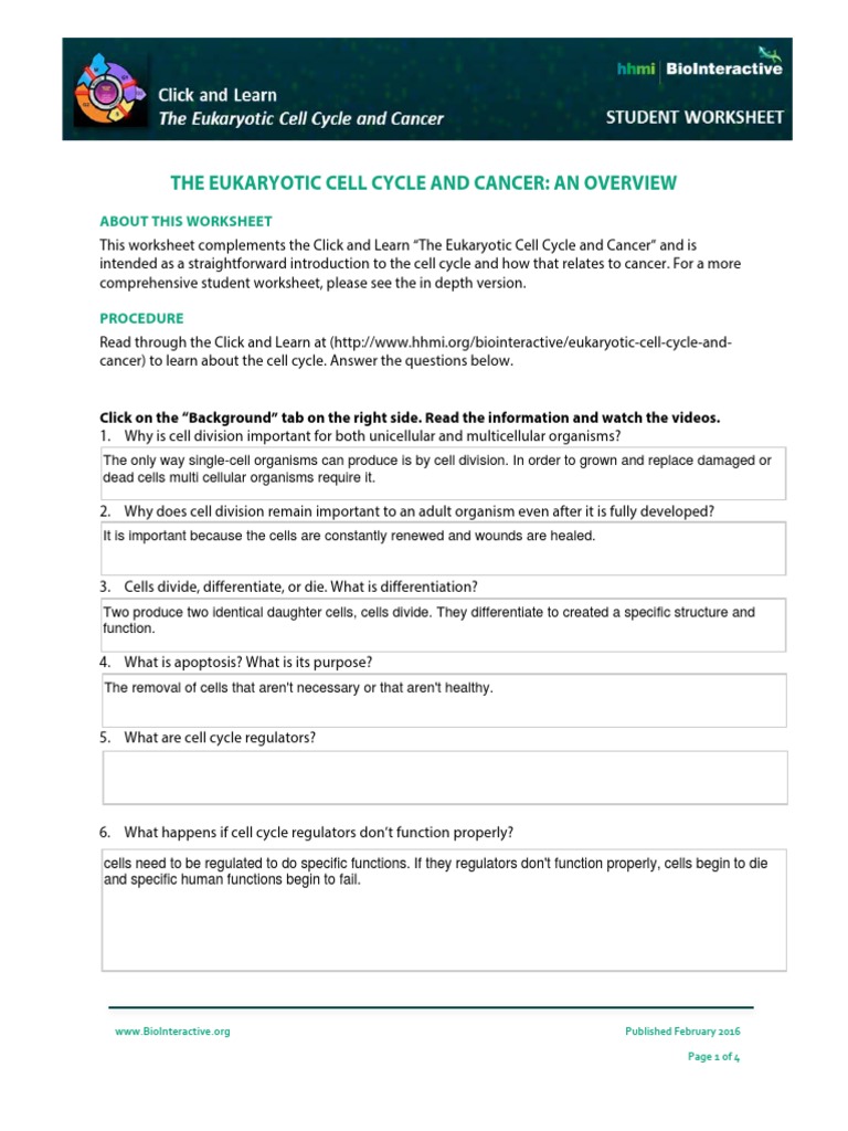 The Eukaryotic Cell Cycle and Cancer: An Overview: About This Worksheet ...