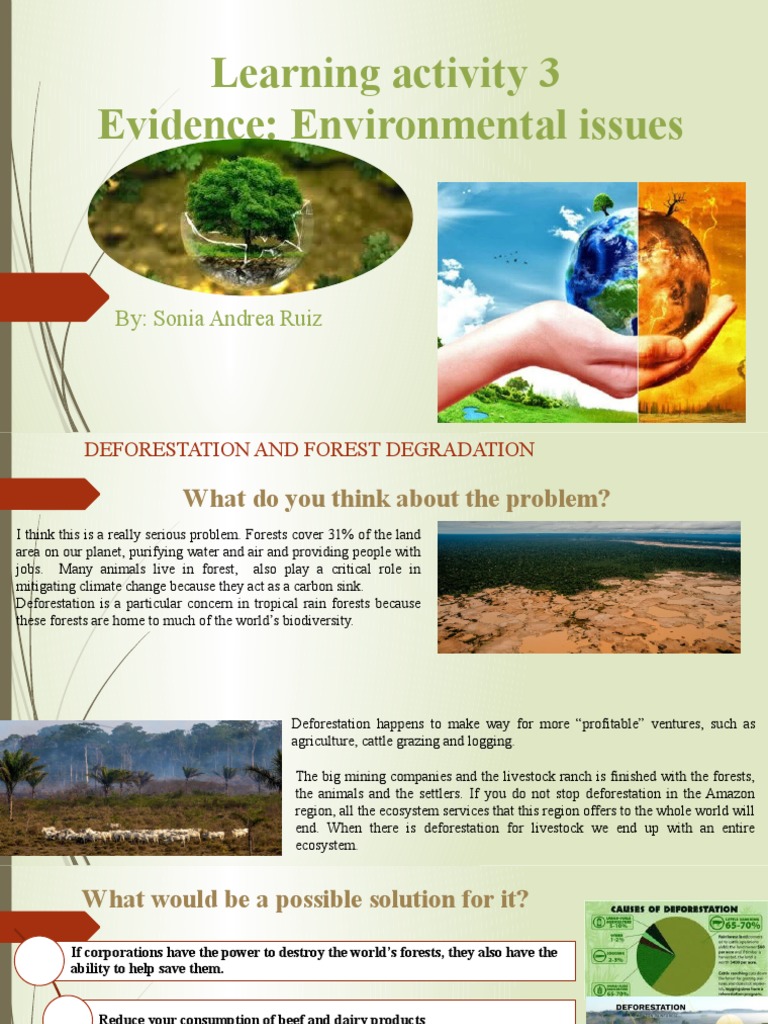 Learning Activity 3 Evidence: Environmental Issues: By: Sonia Andrea ...