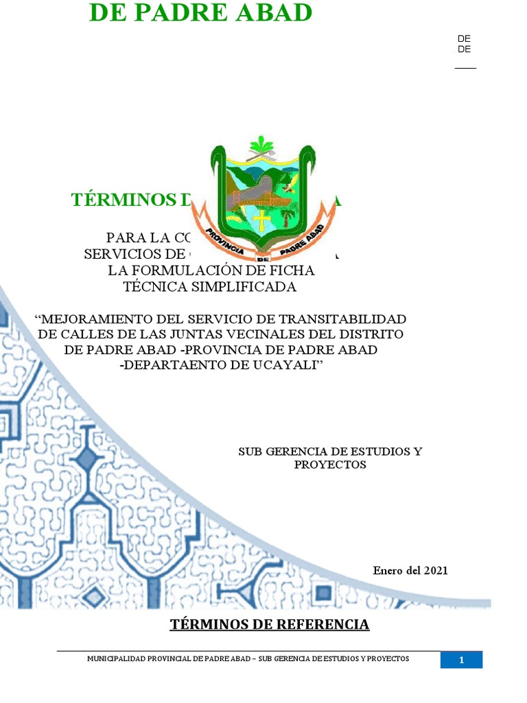 TDR 02 - Mejoramiento Del Servicio de Transitabilidad Calles Padre Abad | PDF | Economias | Business