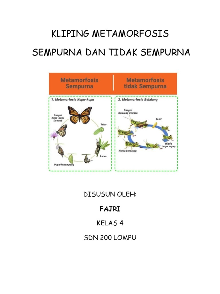 Klipping Metamorfosis | PDF | Seni & Disiplin Bahasa | Griya & Taman