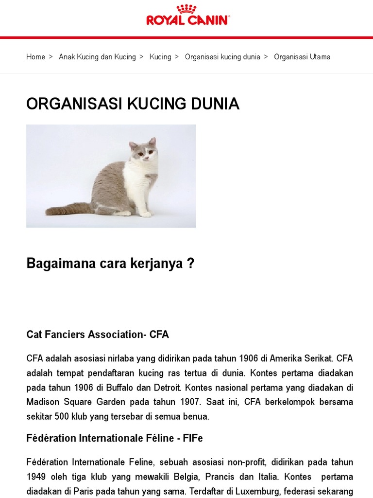 Organisasi Kucing Dunia dan CFA | PDF