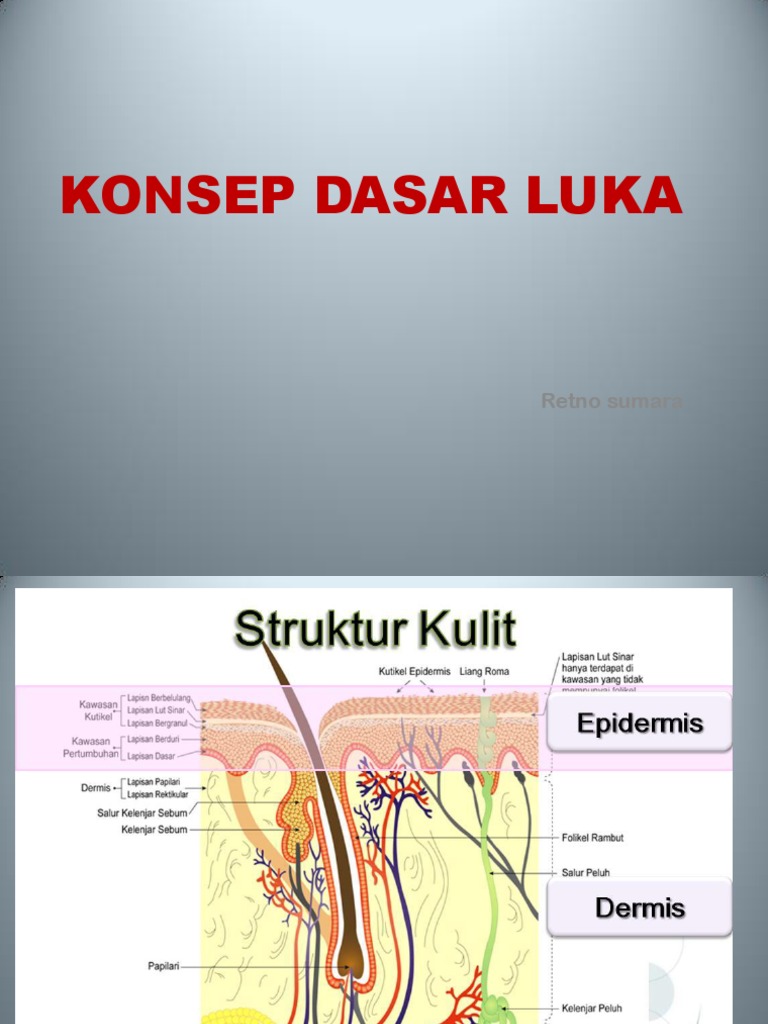 Konsep Dasar Luka | PDF