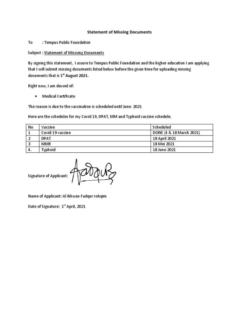 Statement of Missing Documents | PDF