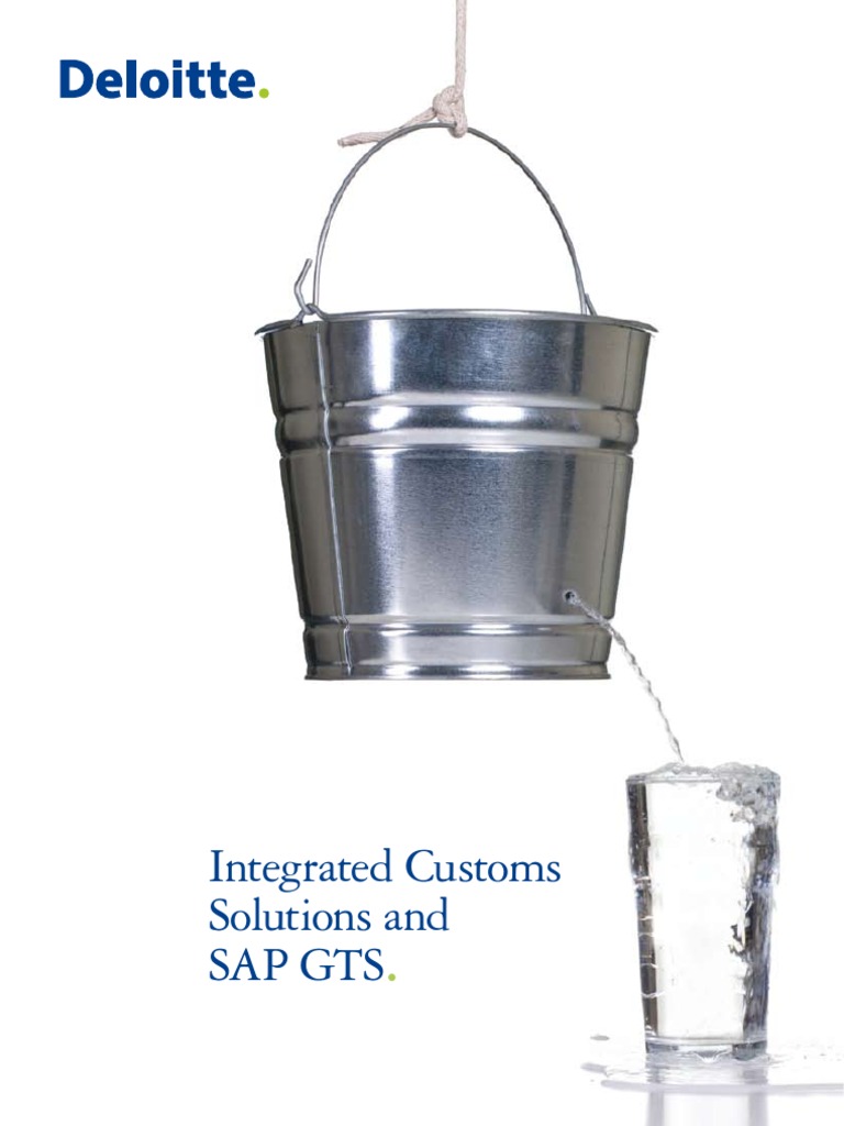 DTTL Tax SAP GTS Brochure Feb09 | PDF | Sap Se | Risk Management
