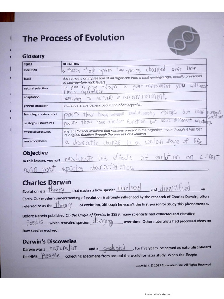 Evolution Guided Notes | PDF