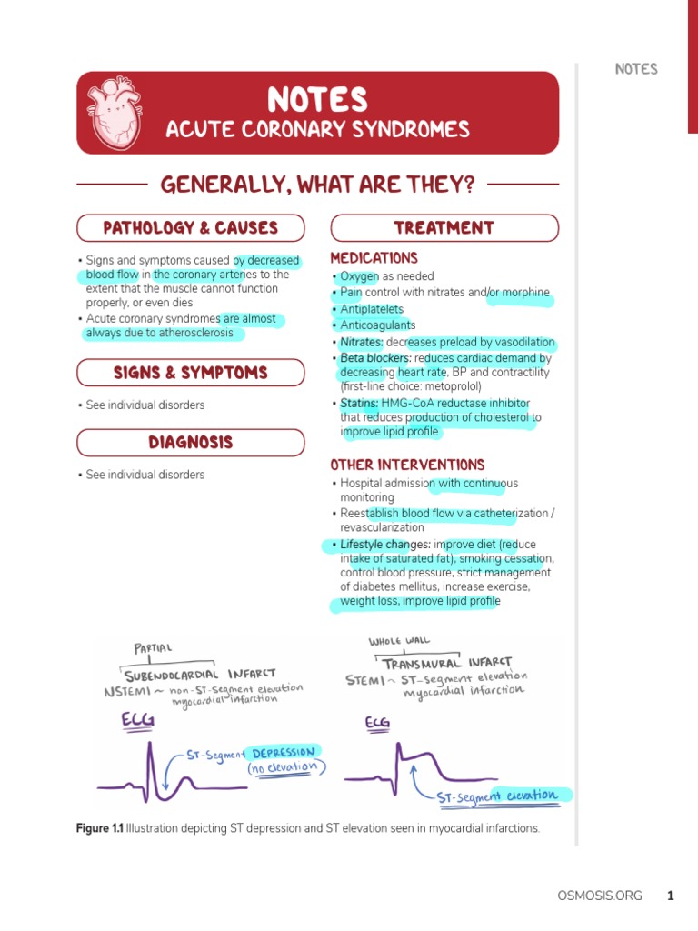 Acute Coronary Syndromes | PDF | Myocardial Infarction | Ventricle (Heart)