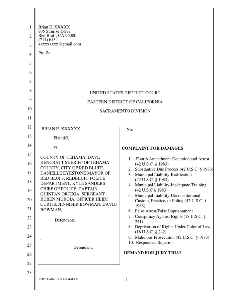 Federal Complaint | PDF | Damages | Punitive Damages