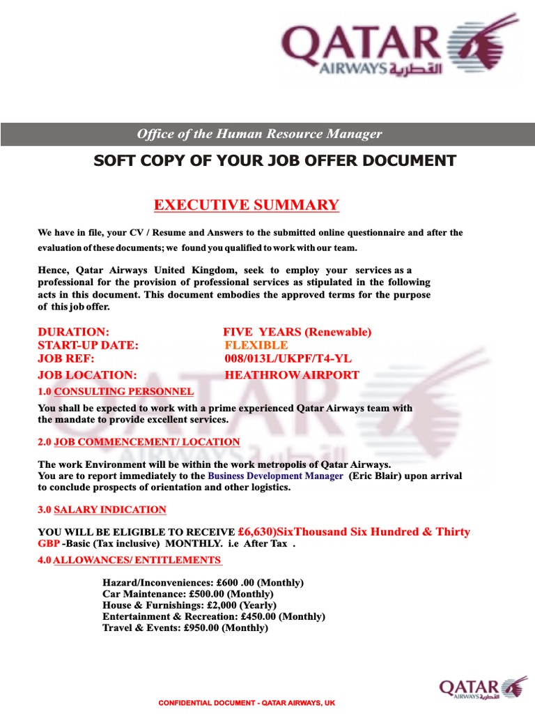 Soft Copy of Your Job Offer Document: Executive Summary | PDF | Travel ...