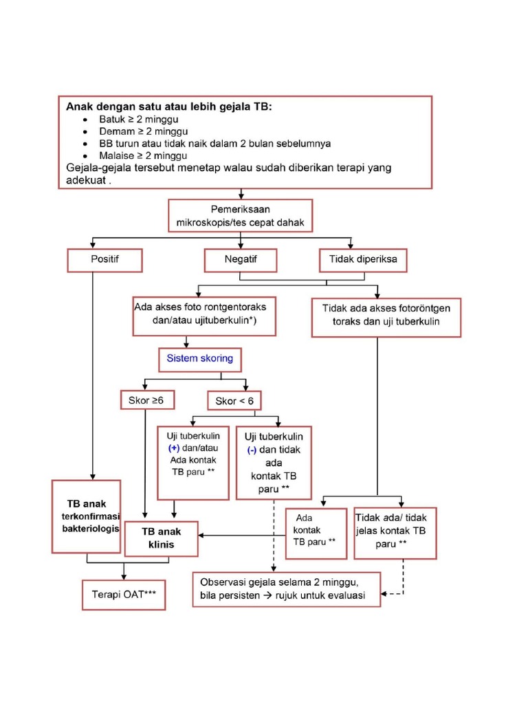 Alur Diagnosis & Skoring TB Anak | PDF