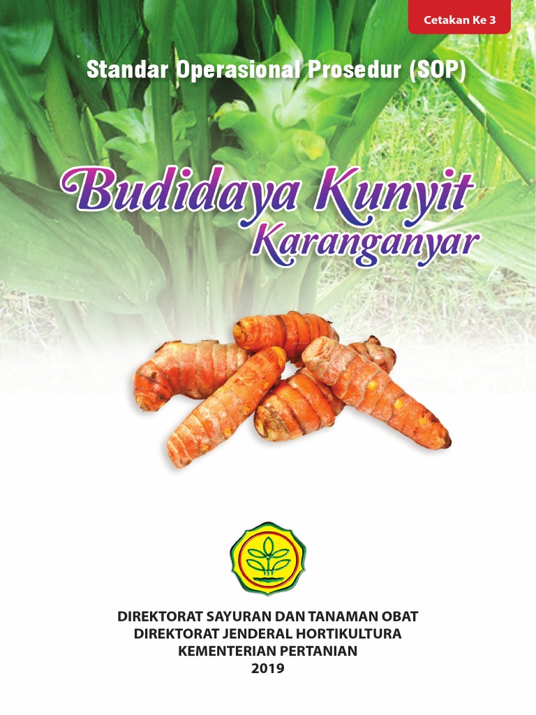 SOP Budidaya Kunyit Karanganyar 2019 | PDF