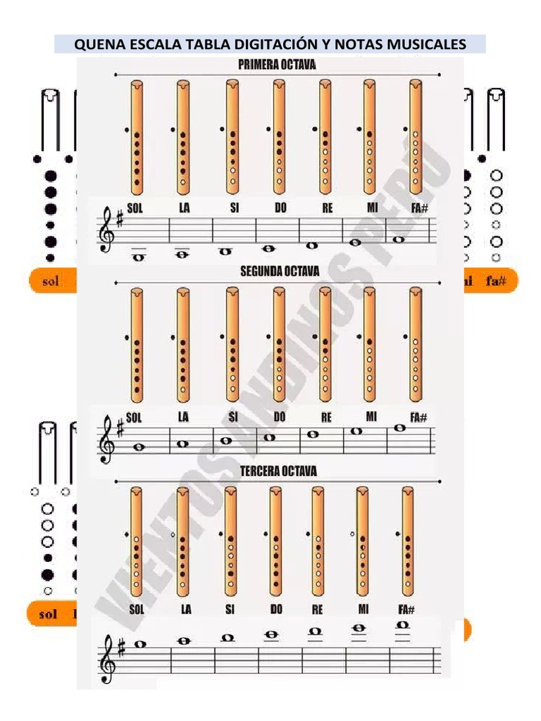 Digitación y Notas de Quena | PDF