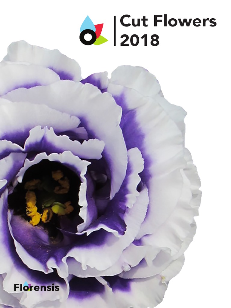 Florensis Cut Flowers 2018 | PDF | Rose | Online Shopping