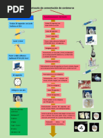 Líneas de Terminación | PDF | Dentadura postiza | Diente