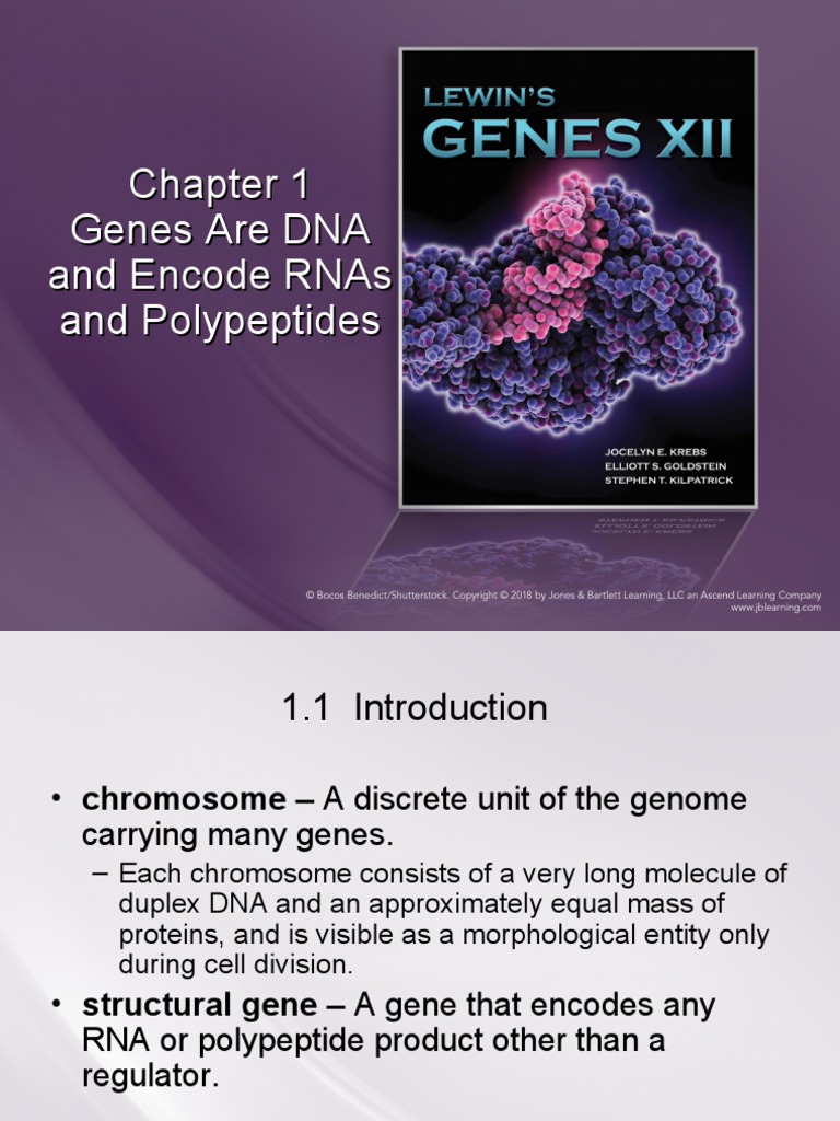 Genes Are Dna and Encode Rnas and Polypeptides | PDF | Gene | Messenger Rna