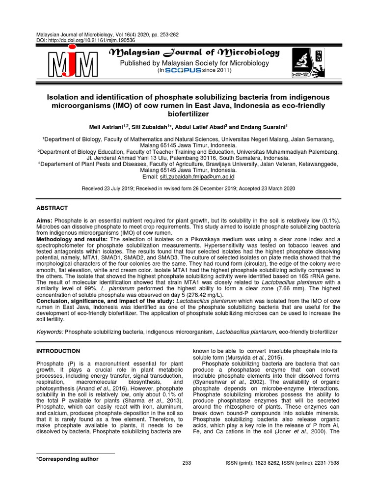 Formatted MJM-19-0536-ready-colour | PDF | Fertilizer | Bacteria