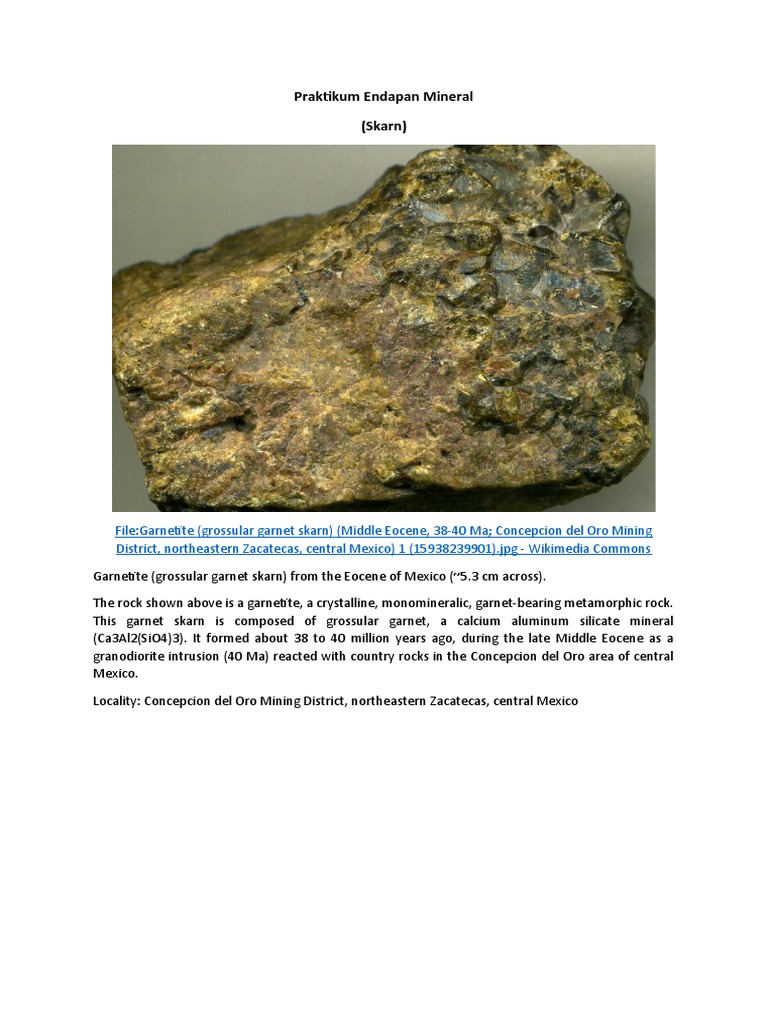 Praktikum Endapan Mineral (Skarn) | PDF | Geology | Minerals