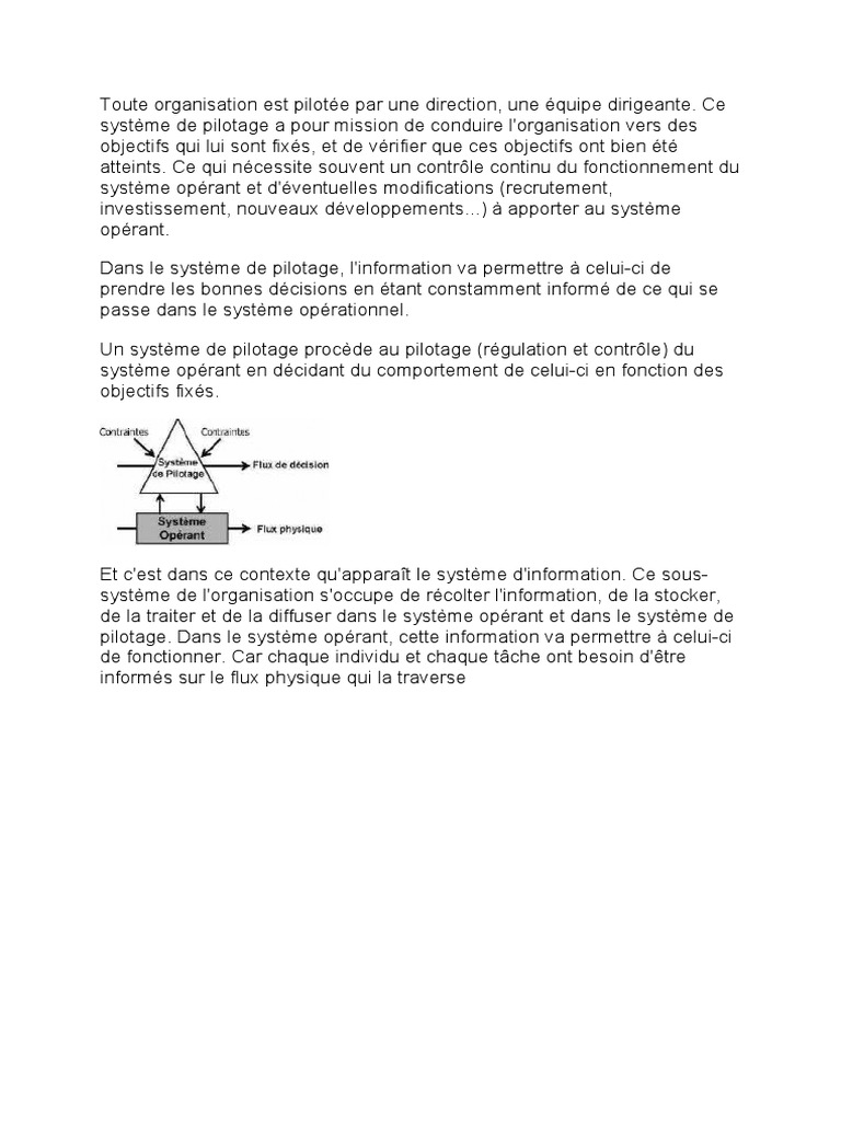 Système de pilotage et d'information | PDF