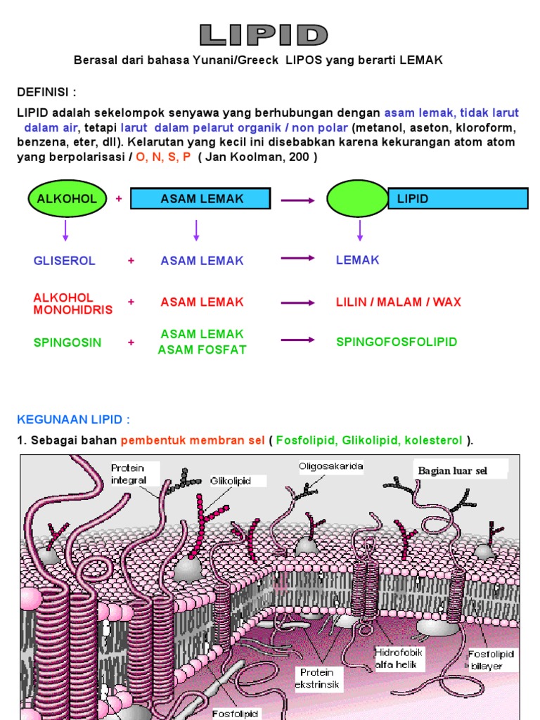 Bio Lipid | PDF | Sains & Matematika