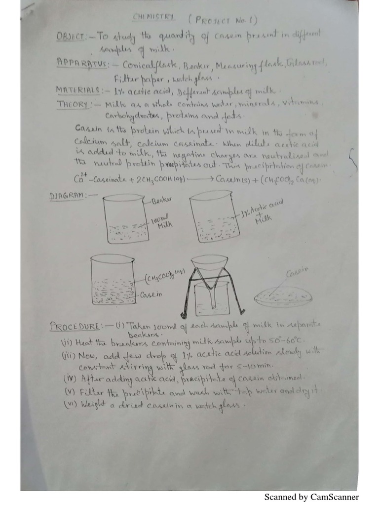CHEMISTRY PROJECT Class 12 Hand Written | PDF