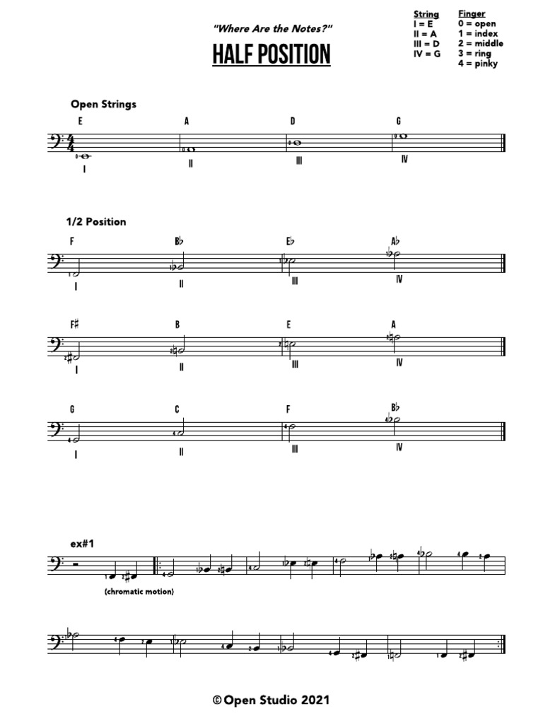 Upright Bass Hand Position & Fingering Guide | PDF