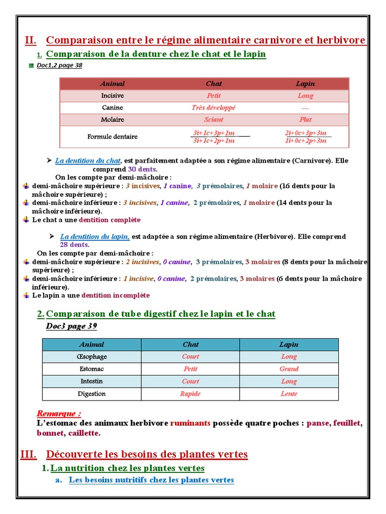 Dentition et régime : chat vs lapin | PDF | Dent | Herbivore