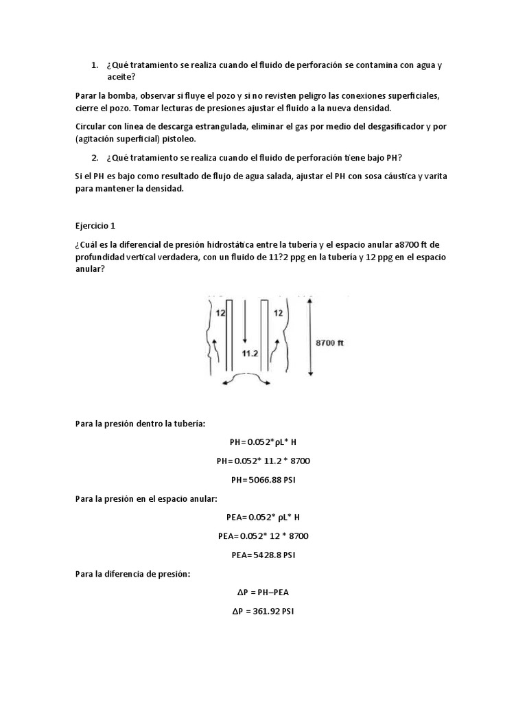 Alex Leonel Conislla Chapa | PDF