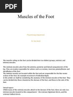Intrinsic Foot Muscles Guide | PDF | Foot | Musculoskeletal System