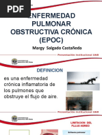 Qué Es La PAFI-1 | PDF