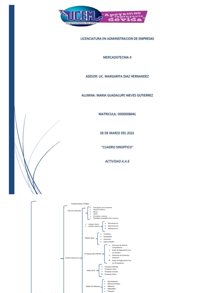 A.A. 6 Cuadro Sinoptico | PDF | Producto (Negocio) | Marketing