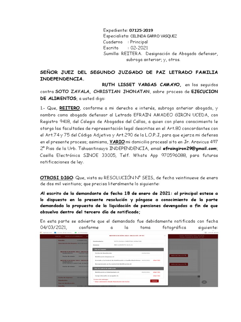 Ruth Lisset Vargas Camayo - Reitera. Designa Abogado Defensor, Subroga Anterior y Otros. | PDF ...