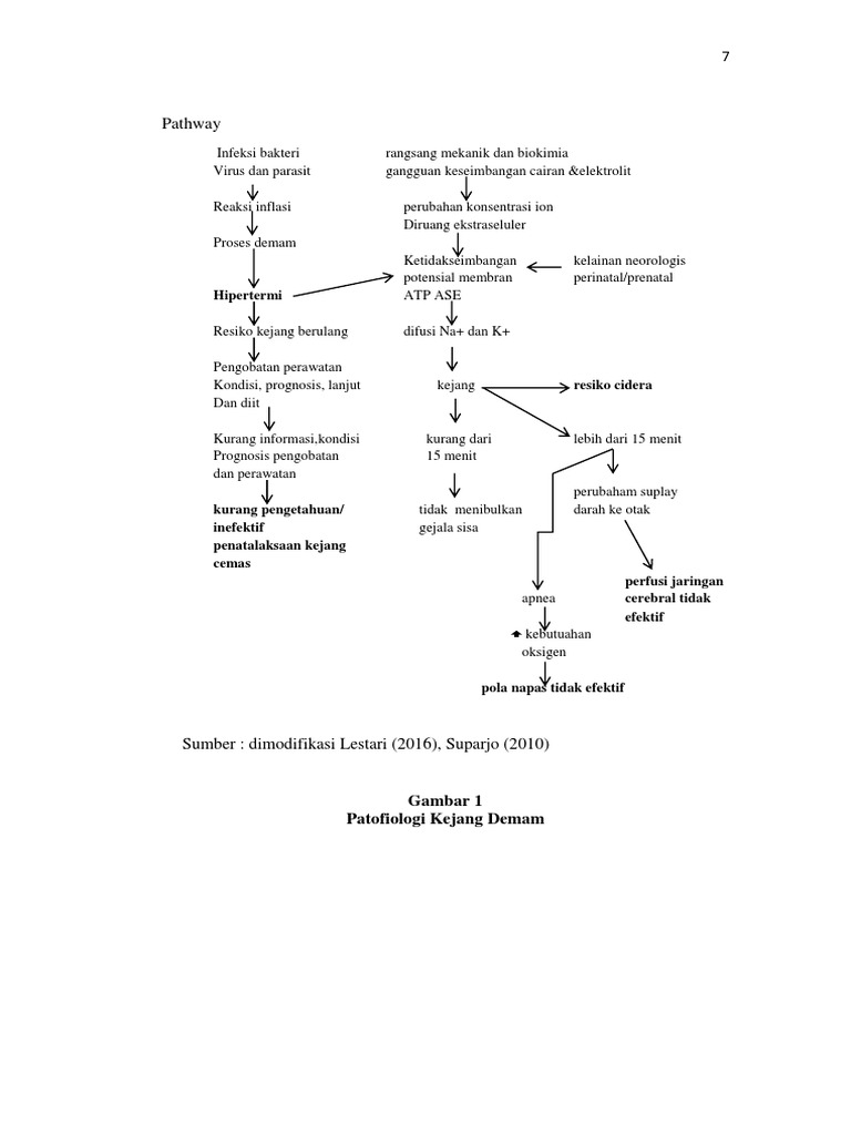 PATOFISIOLOGI DAN PENGELOLAAN KEJANG DEMAM PADA ANAK | PDF