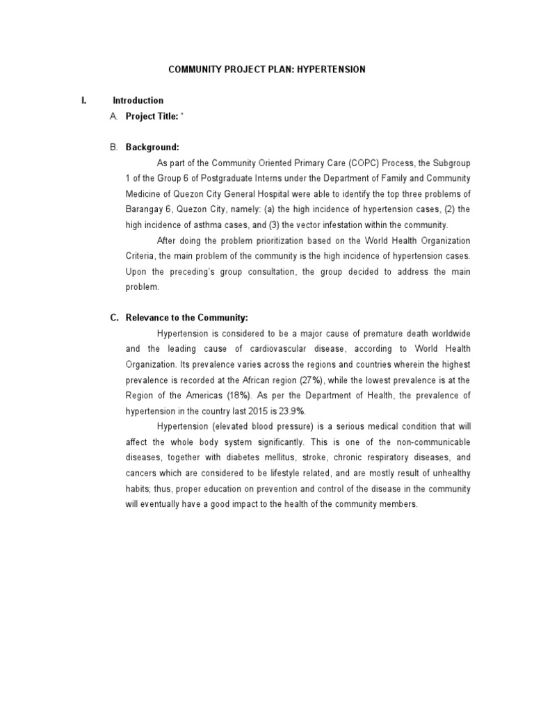 Community Project Plan: Hypertension | PDF