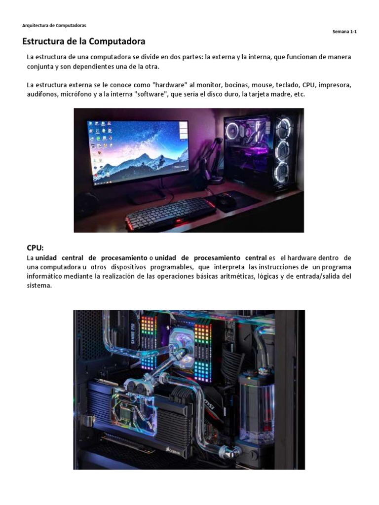 S1-Parte 1-Estructura de La Computadora | PDF