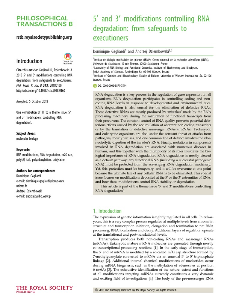 Modifications Controlling RNA | PDF | Messenger Rna | Rna