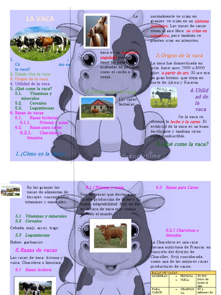 Características y alimentación de la vaca | PDF | Vacas | Carne