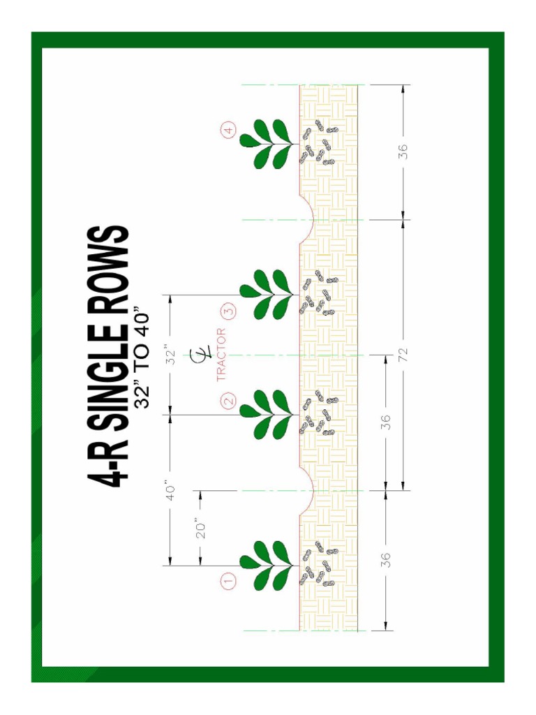 American Peanut Row Spacing Chart | PDF