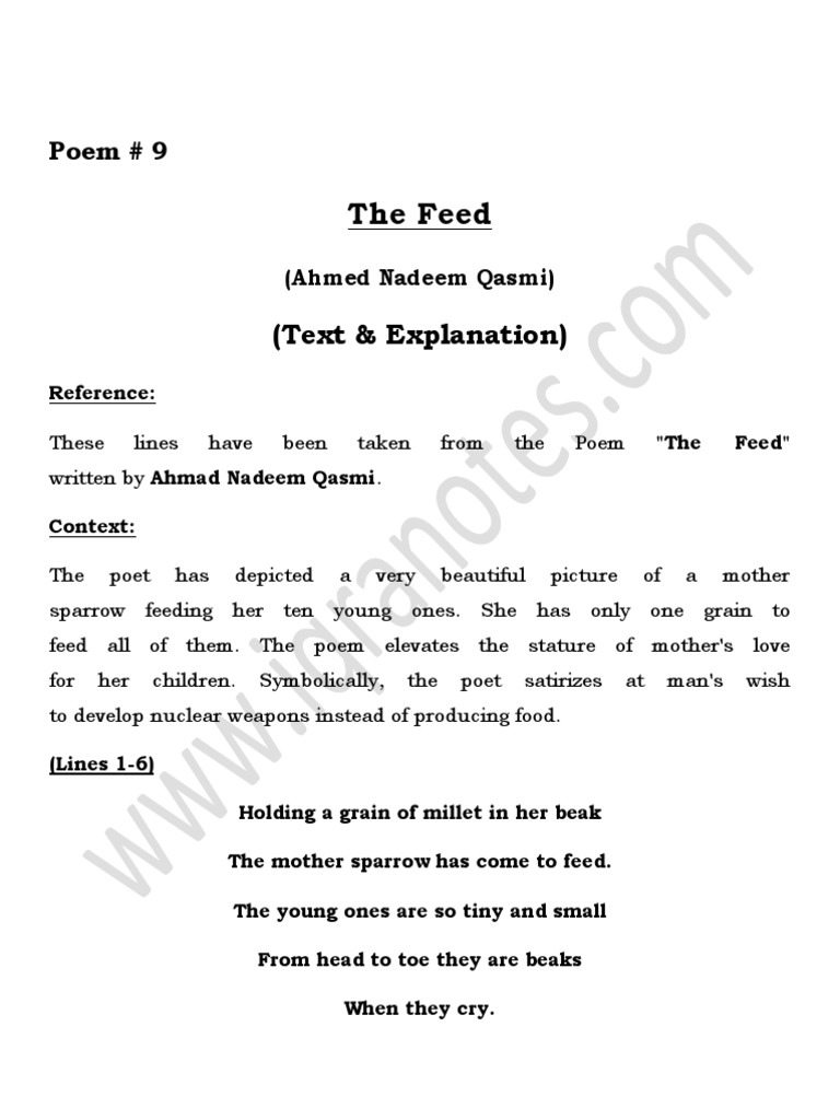 The Feed: (Text & Explanation) | PDF | Foods