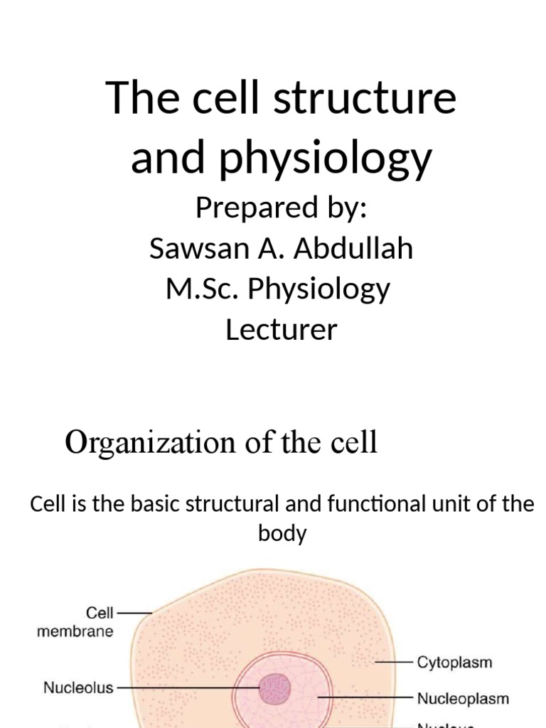Cell Structure and Physiology | PDF | Endoplasmic Reticulum | Cell Membrane