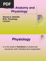 Anatomical Terminology Worksheet | PDF | Anatomical Terms Of Location ...