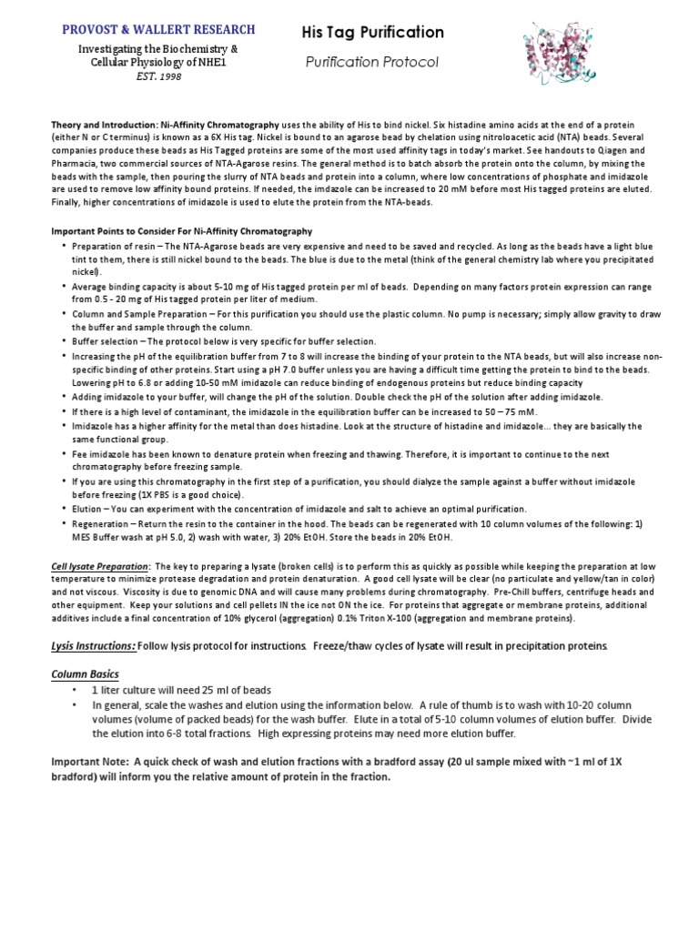 2015 His Tag Purification Protocol | PDF | Protein Purification ...