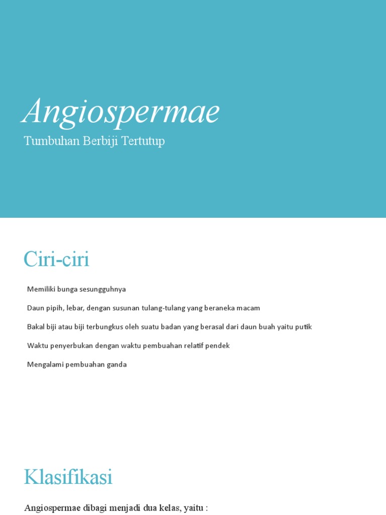 Ciri dan Klasifikasi Angiospermae | PDF