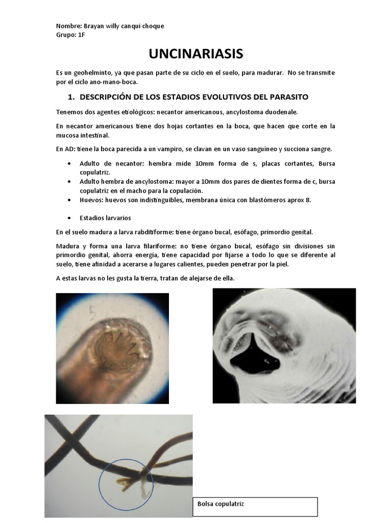 UNCINARIASIS | PDF | Especialidades Medicas | Medicina CLINICA