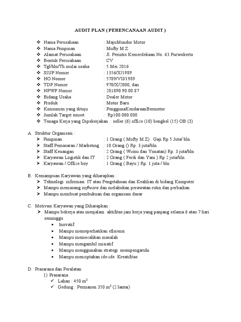 Contoh Perencanaan Audit | PDF